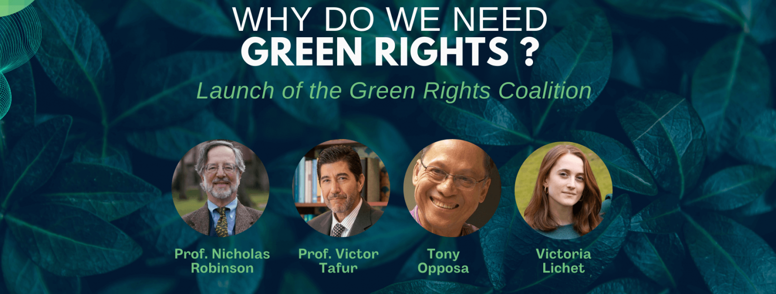 Webinars around the Earth – Why do we need green rights ? – ICEL